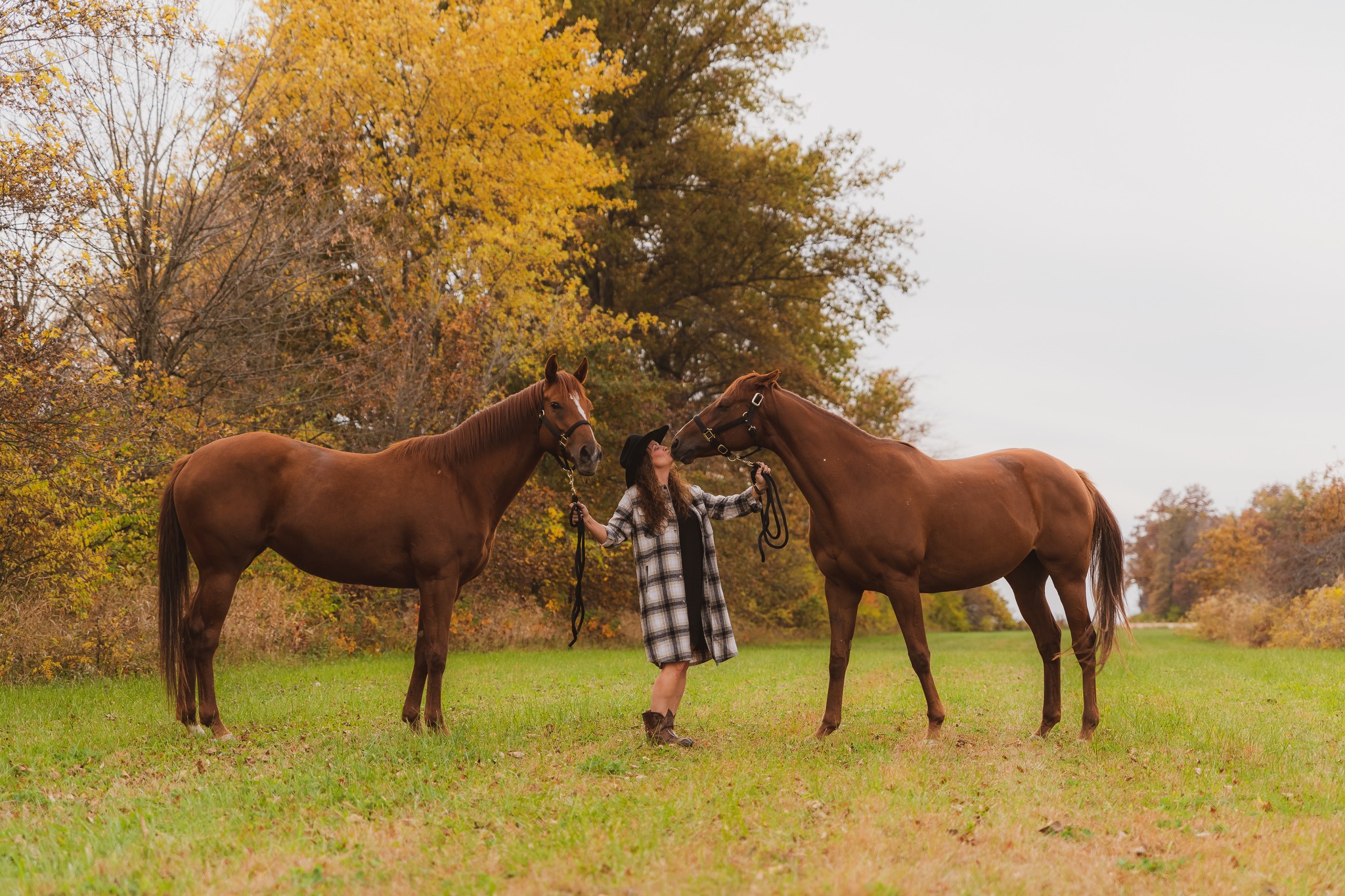 Our Origin – Red Dragon Ranch